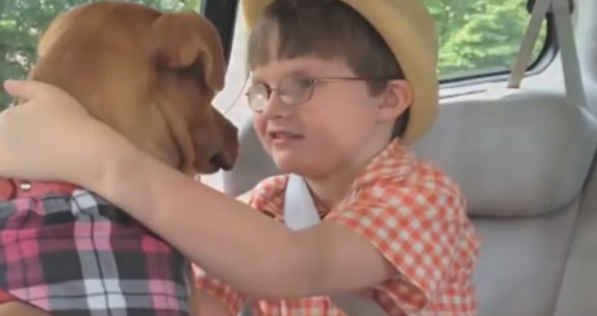 Abused Pit Bull Helps Little Boy With Autism Overcome His Social ...