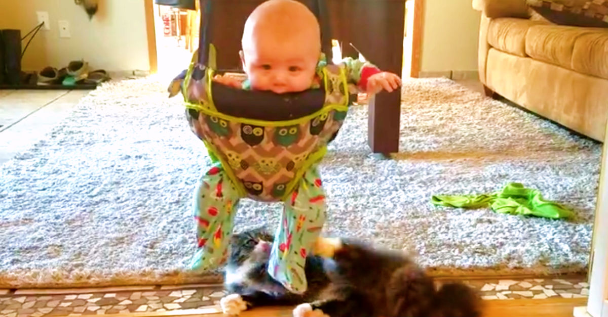Cat Is Mesmerized When Baby Spin Around In Circles | LittleThings.com