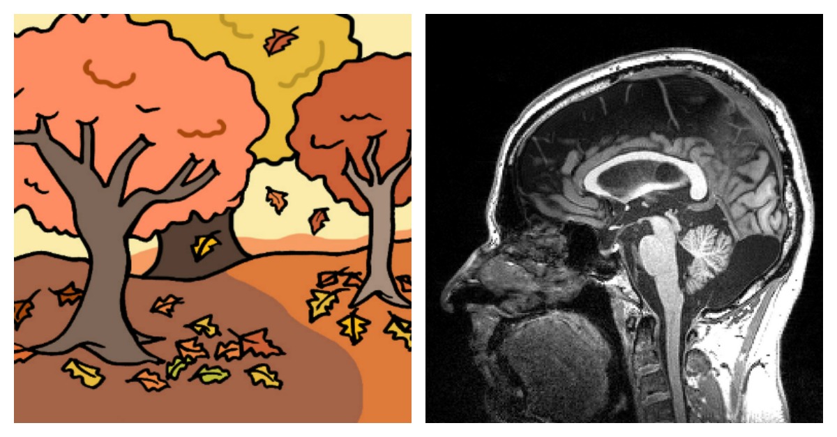 Health Benefits Of The Fall Season You'll Love | LittleThings.com