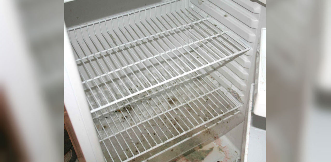 10 Gross Things That May Be In Your Refrigerator Right Now ...