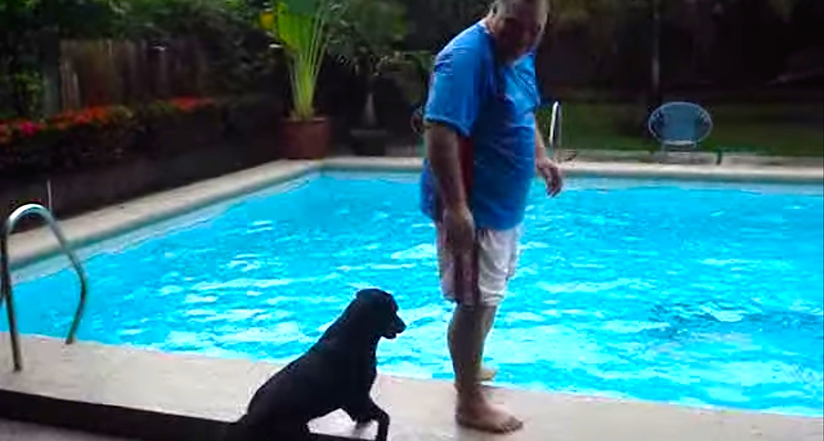 He Walks Over To The Pool, But Keep Your Eyes On The Dog Behind Him ...