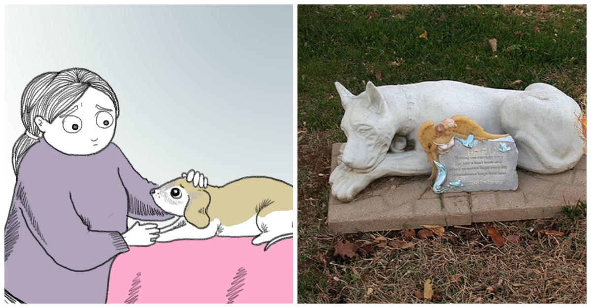 8 Things To Be Prepared For When A Beloved Dog Dies | LittleThings.com