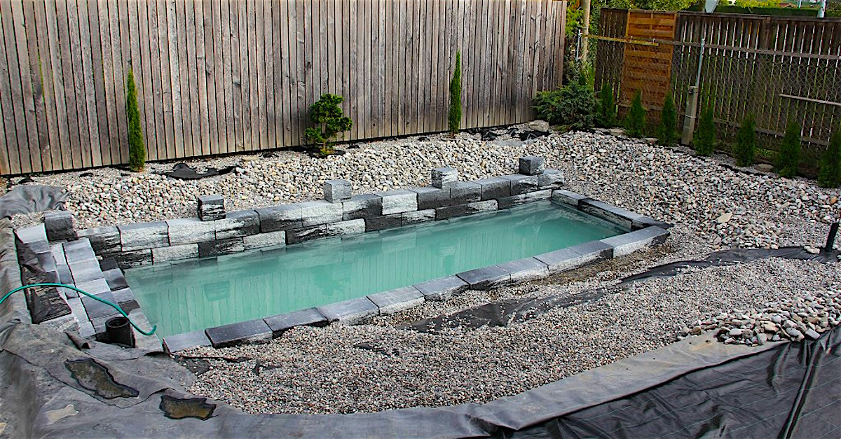 Ordinary-Looking Pool Overflows To Become A Stunning, All-Natural Pond ...