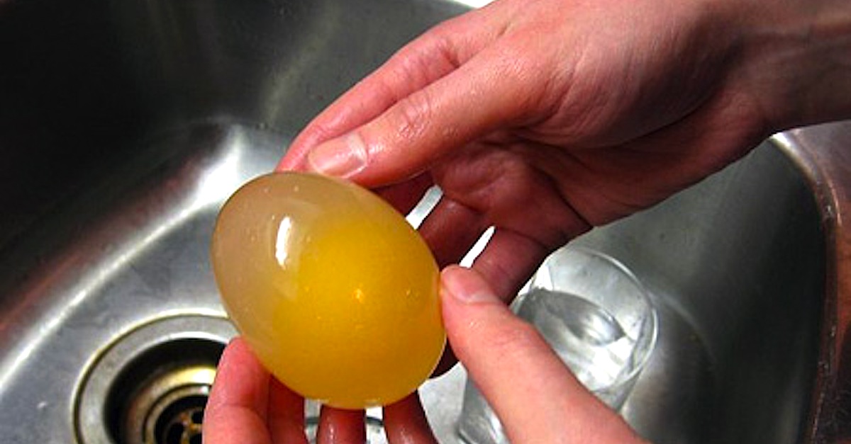 He Peels This Strange-Looking Egg. What's Inside? I'm Completely ...