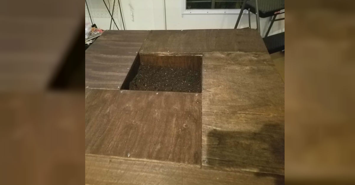 Clever Woman Pours Dirt Into Her Coffee Table To Create A Striking ...