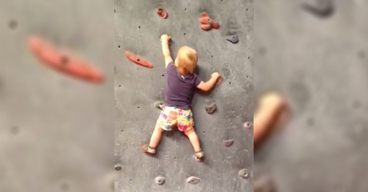 This 19-Month-Old Is Clinging To A Rock While Her Parents Stand And ...