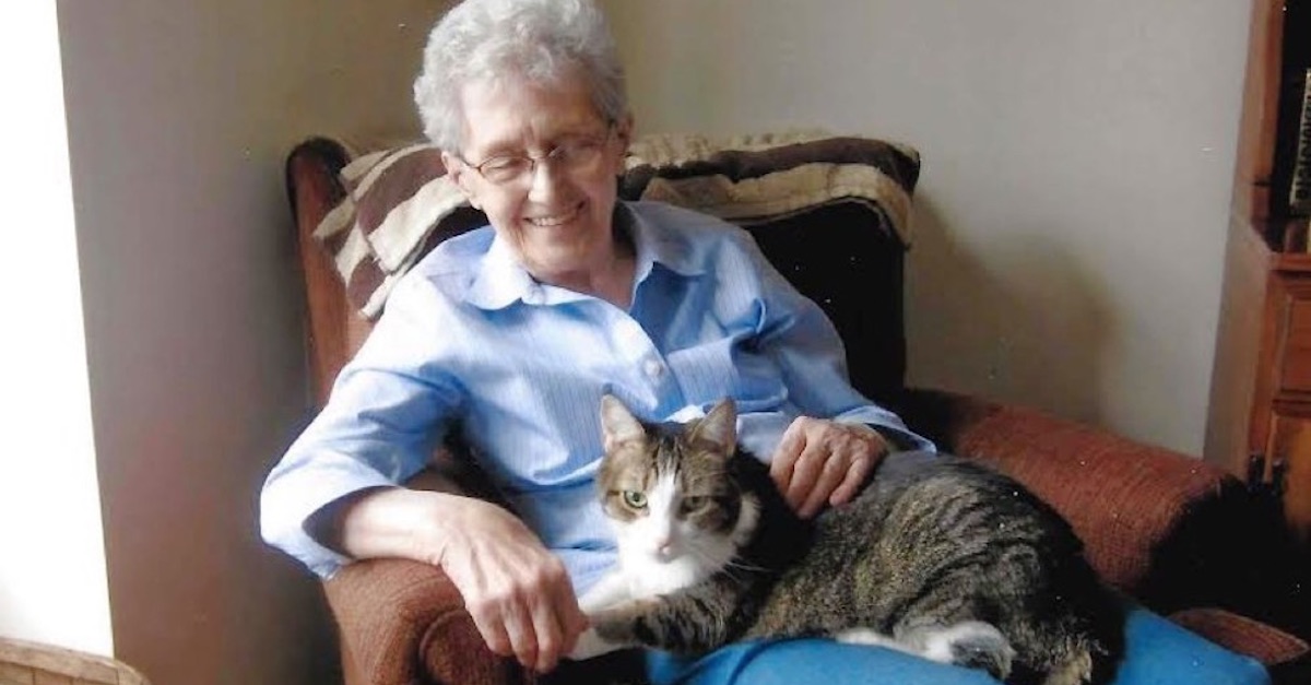 Grandma's Cat Dies In Her Arms. 4 Hours Later? This Is Incredible ...
