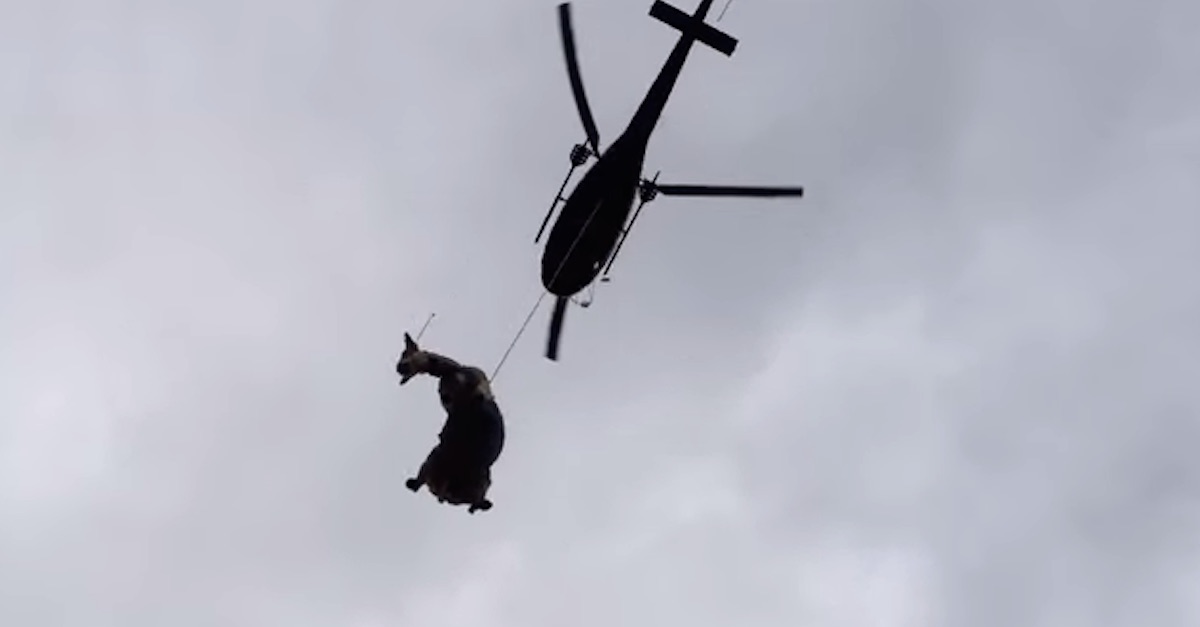Look Closely At The Dark Shape Beneath This Helicopter. When I Saw What ...