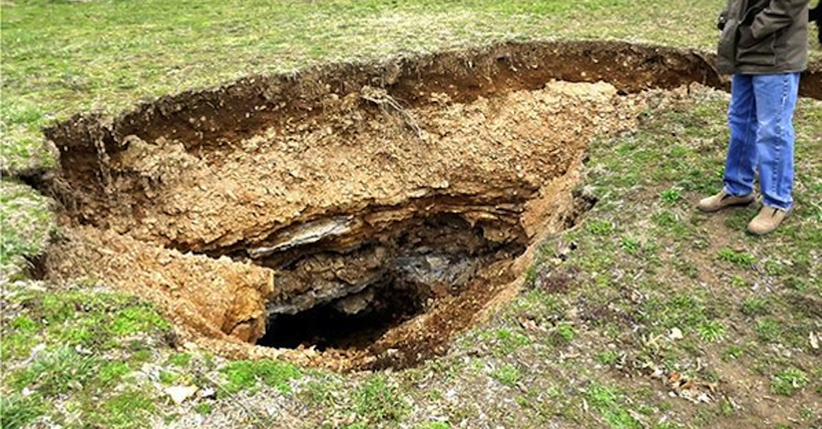 He Was Just Digging In His Backyard When He Made A MAMMOTH Discovery ...