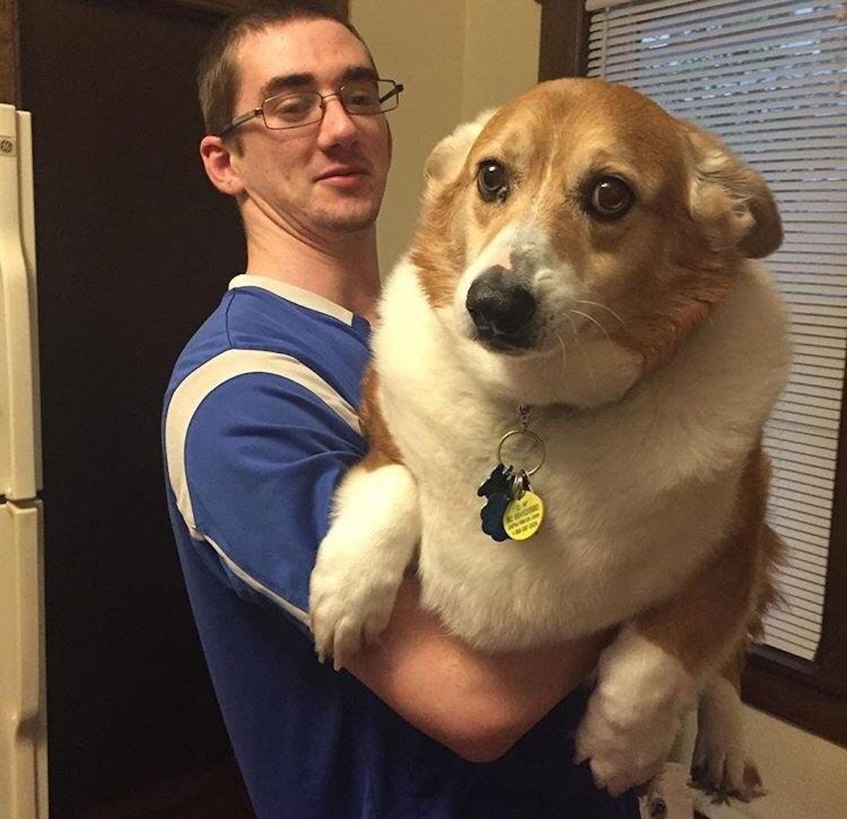 Meet Noah The Chubby Corgi | LittleThings.com
