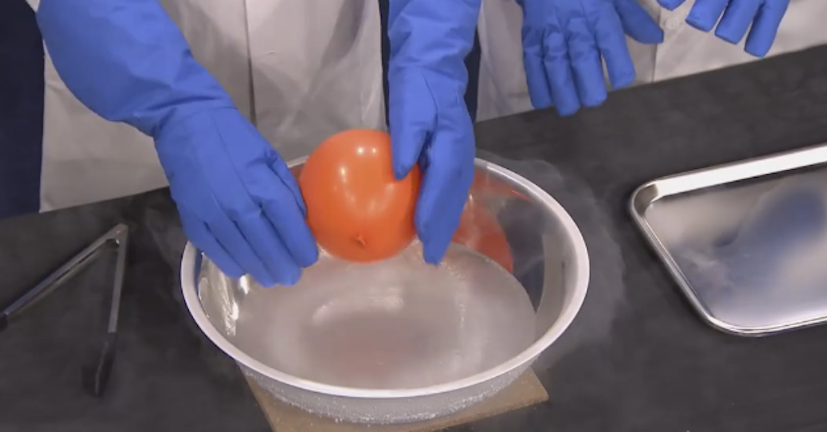 Balloons Shrivel Up When Exposed To Liquid Nitrogen | LittleThings.com