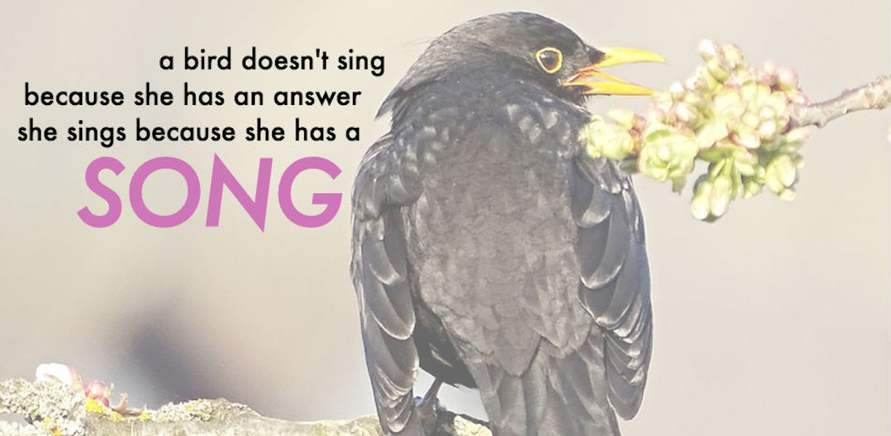 These Bird Quotes Will Help You Get Through Your Day | LittleThings.com