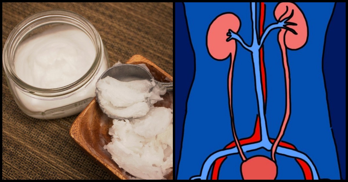 10 Ways Coconut Oil Can Benefit Your Skin, Organs, And Quality Of Life ...