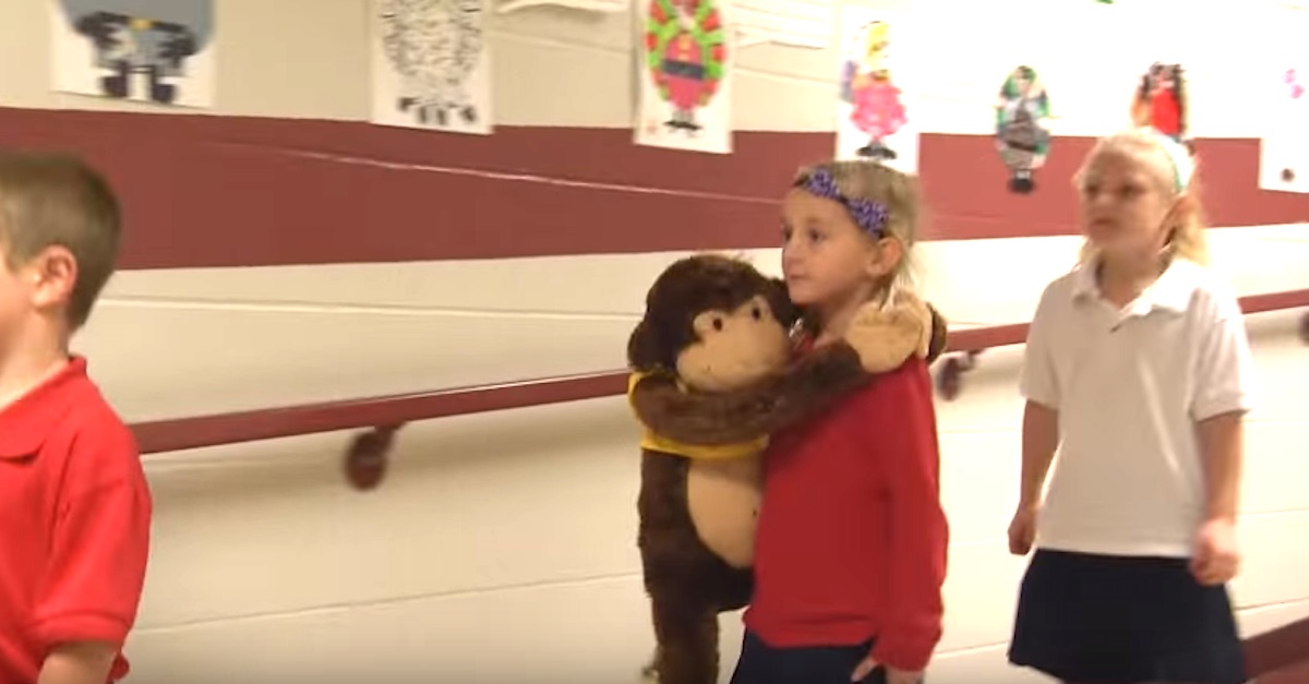 She Carries A Big Plush Monkey With Her All Day. But How This Helps Her ...
