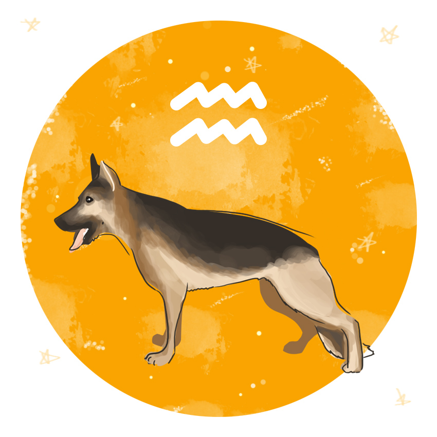 When Was Your Dog Born? The Answer Could Reveal A STUNNING Secret ...