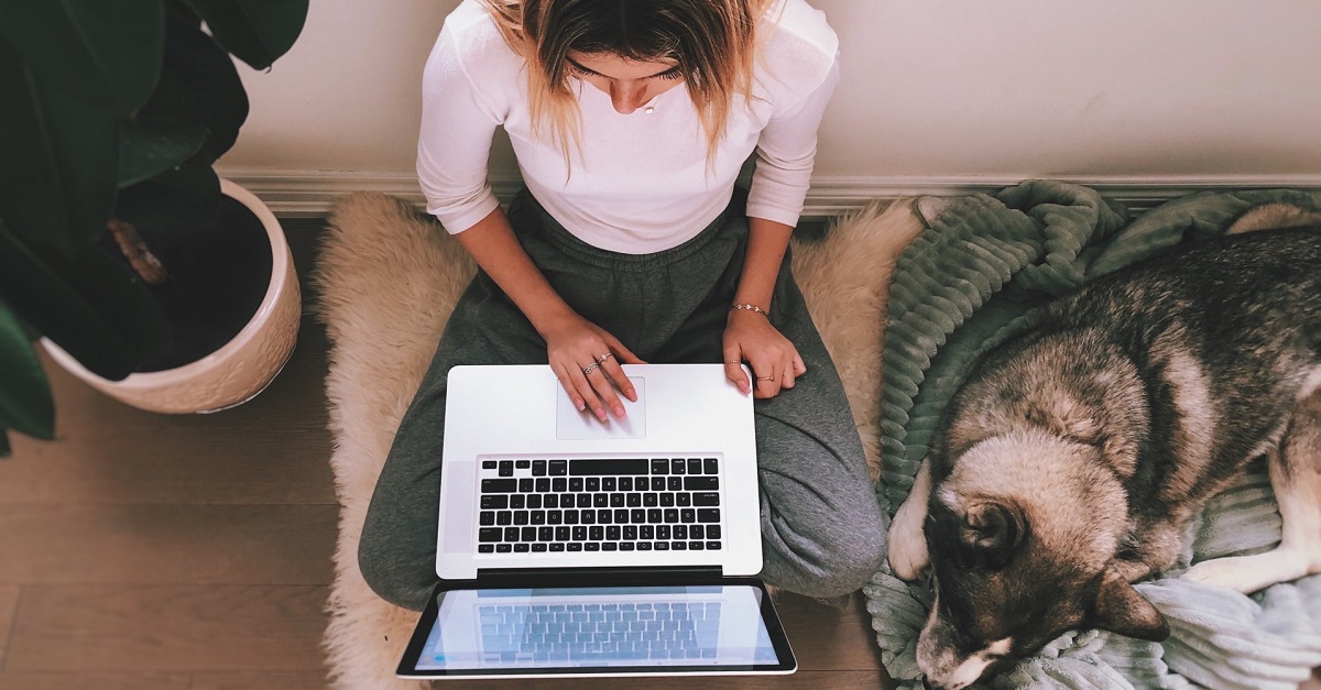 13 Funny Work From Home Fails That'll Give You A Much-Needed Laugh ...