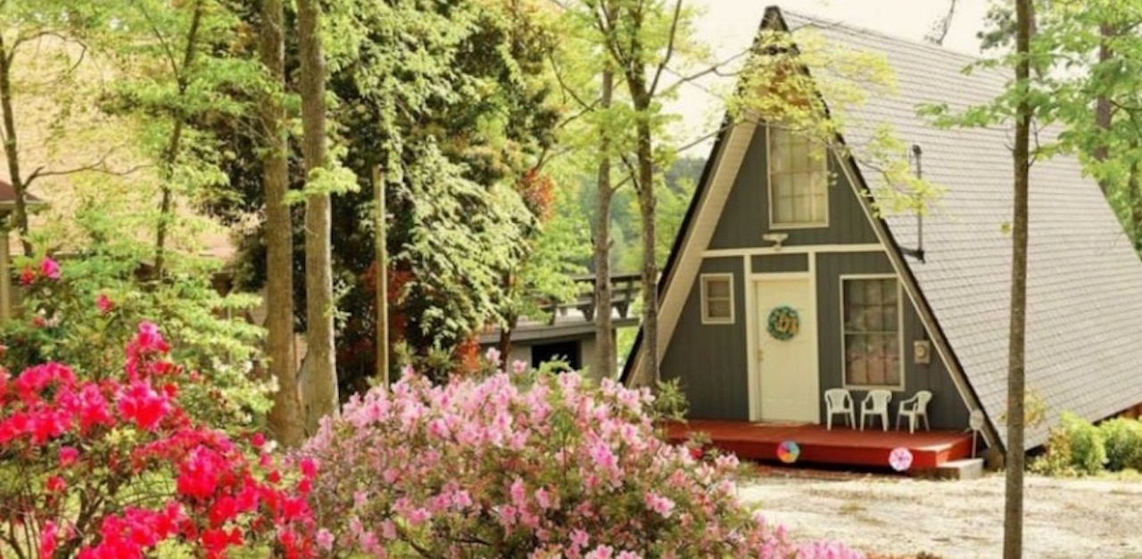 Triangle House Has Stunning Views And Open Interior | LittleThings.com