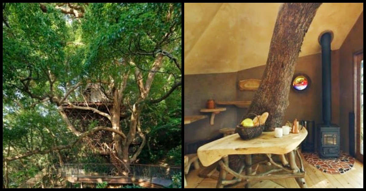 Concealed 'Bird's Nest' Treehouse Offers A Peaceful Escape From The ...