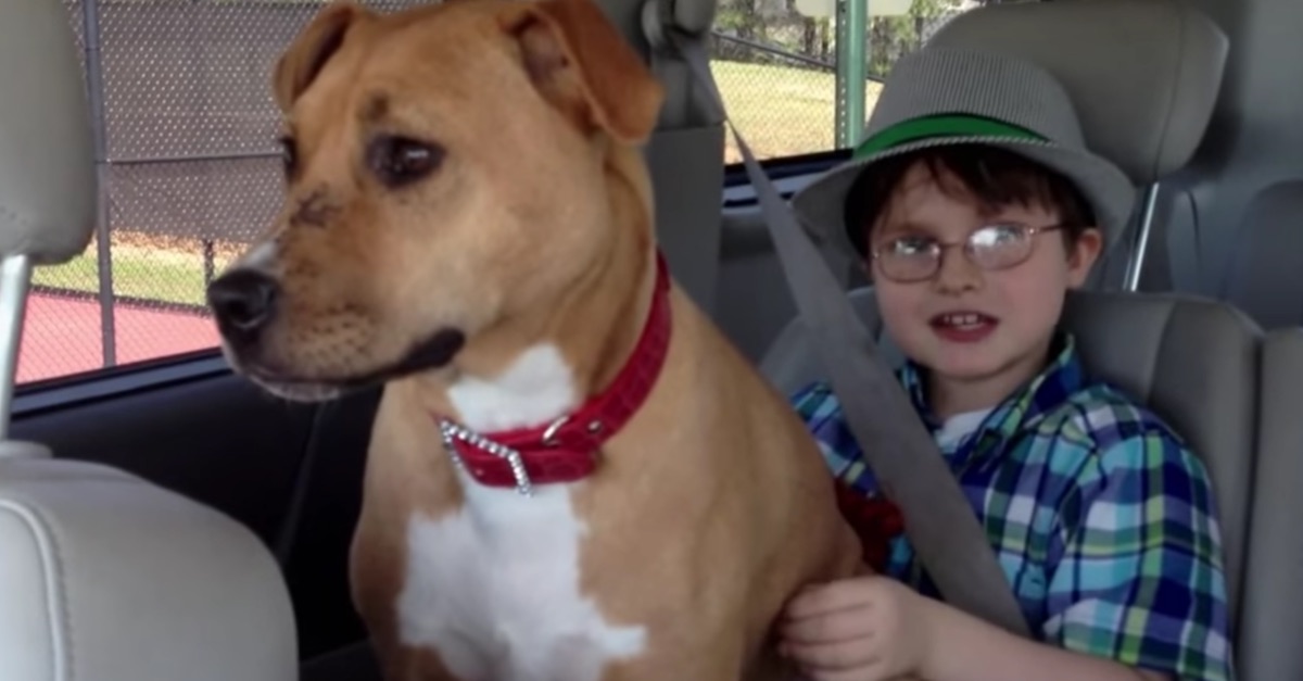 Boy With Autism Comes Out Of His Shell After Adopting A Battered Pit ...