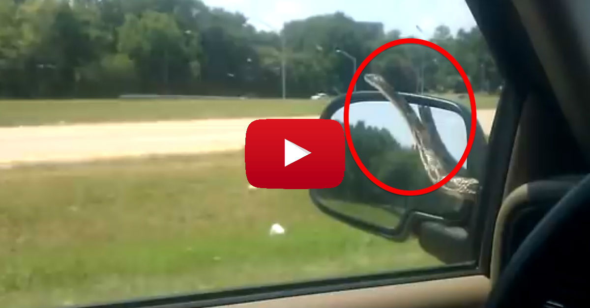 Absolutely Terrifying! I Can't Believe THIS Happened While They Were ...