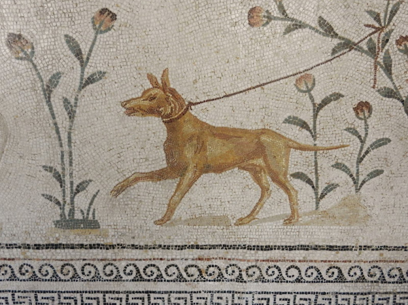 Historians Discover Ancient Dog Tombs With Tear-Jerking Inscriptions ...