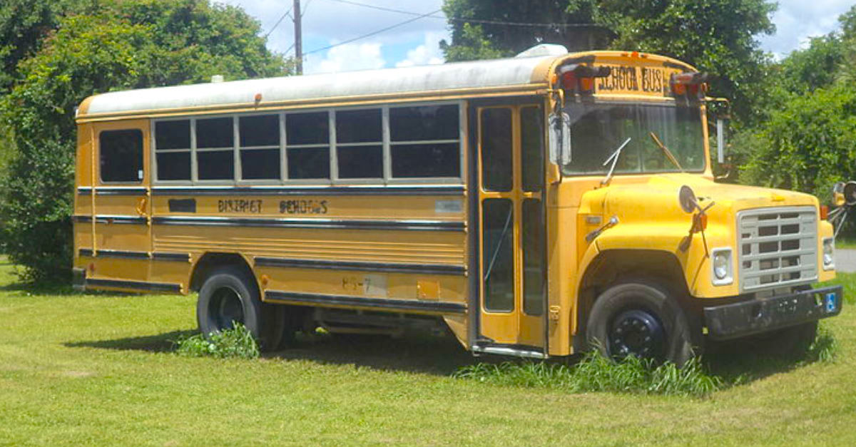 10 Beautifully Converted Bus Homes | LittleThings.com