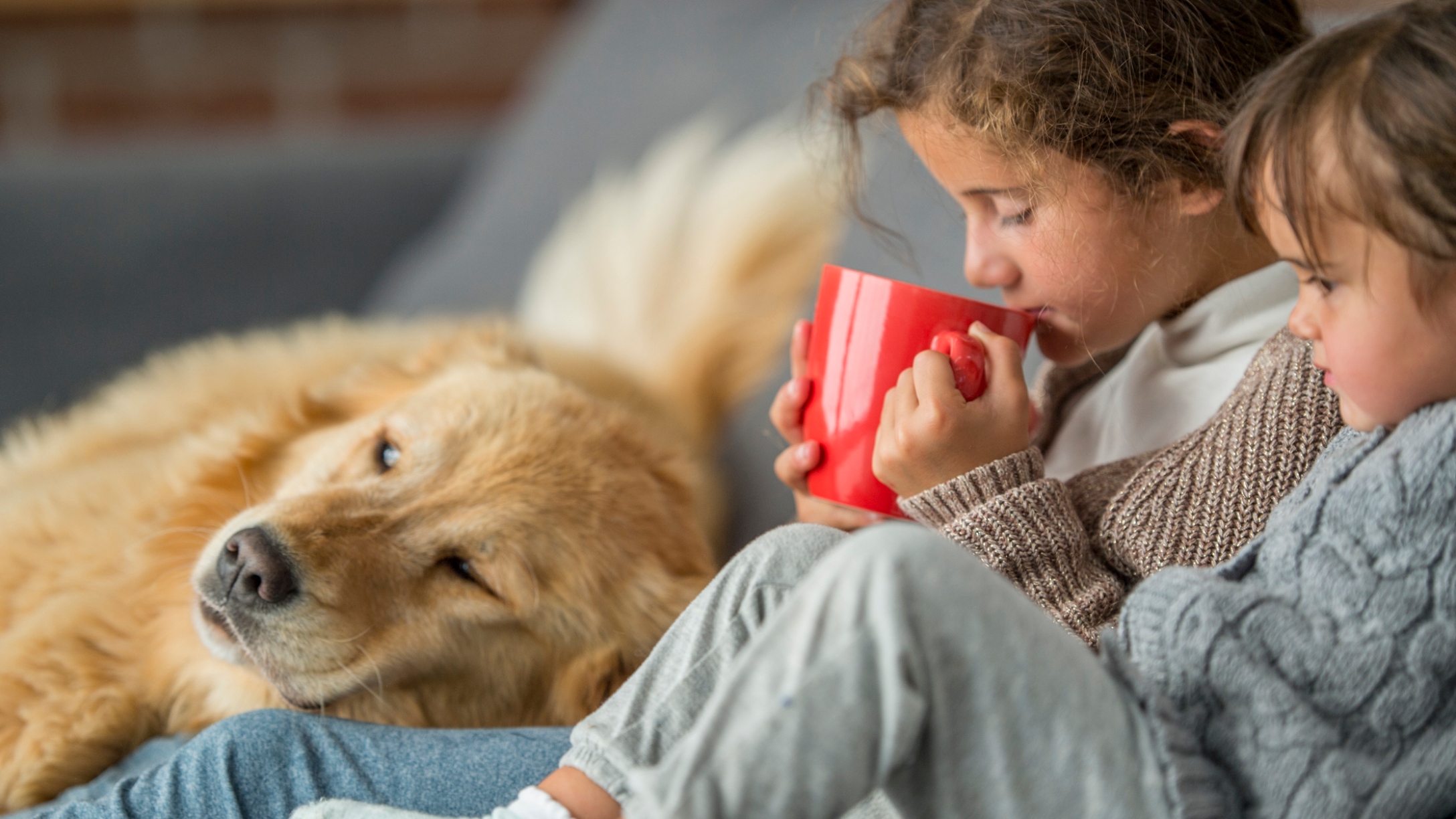 Kid-Friendly Recipes To Make Your Holidays Full Of Joy | LittleThings.com