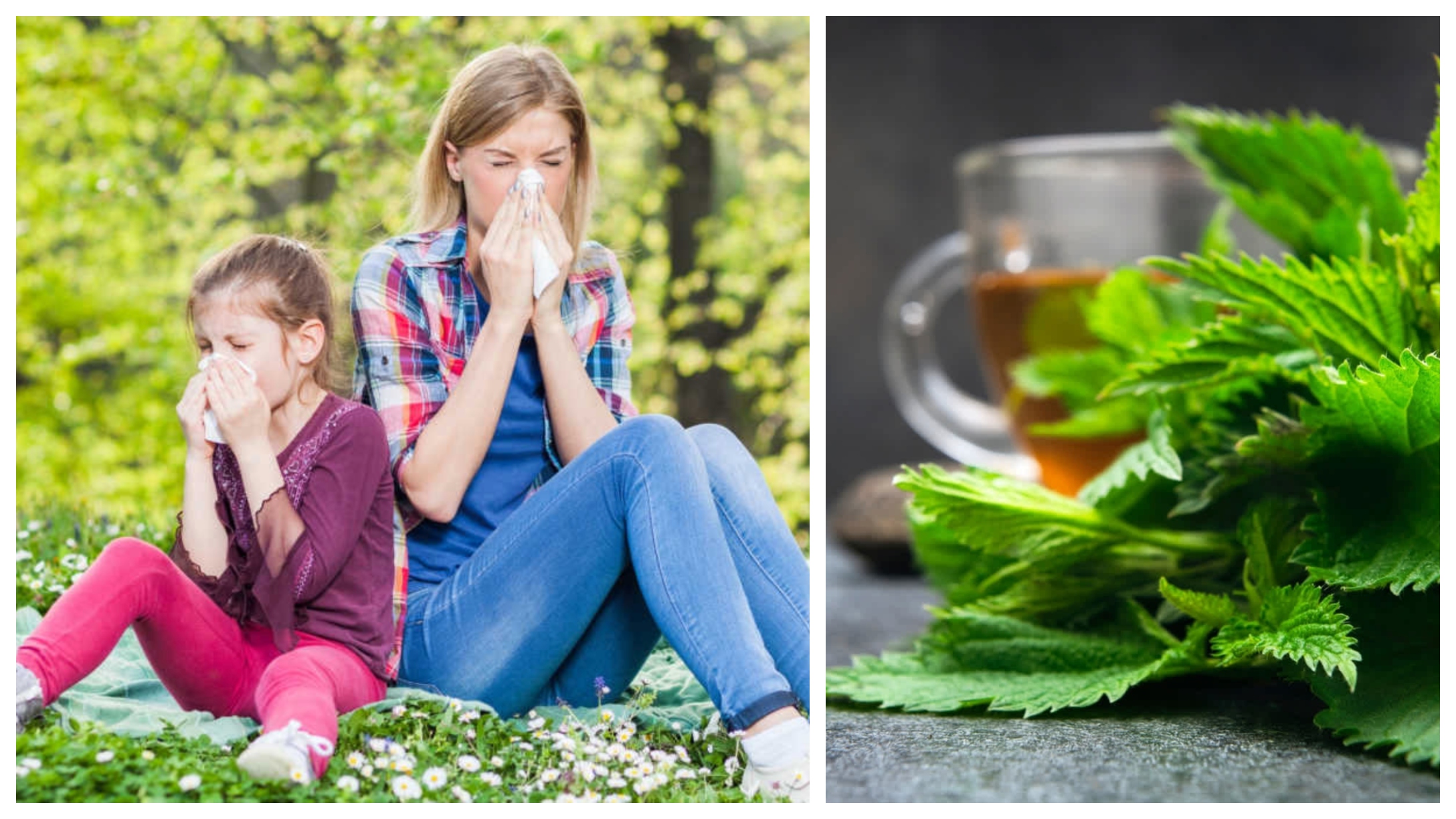 10 Natural And Safe Ways You Can Keep Springtime Allergies From ...