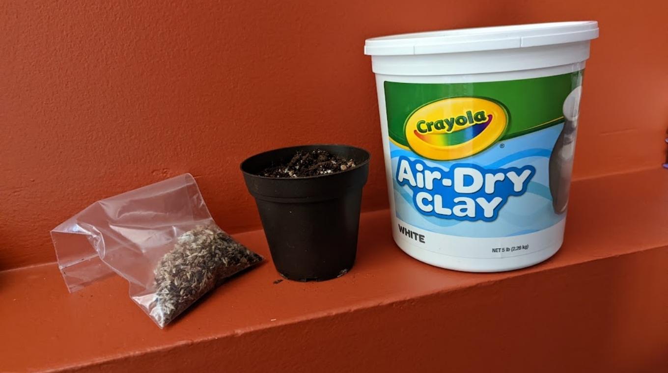 My Kids Made DIY Wildflower Seed Bombs & Launchers To Celebrate Spring ...