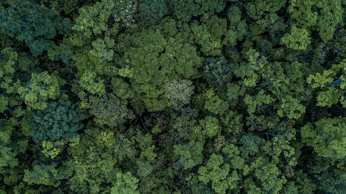 Offsetting carbon emissions – what does additionality mean? - Compensate