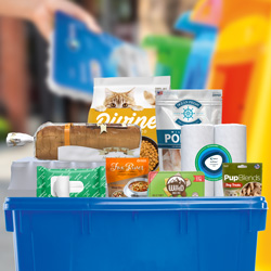 AmPrima Recycle Ready Solutions from Amcor (Brochure) | Amcor