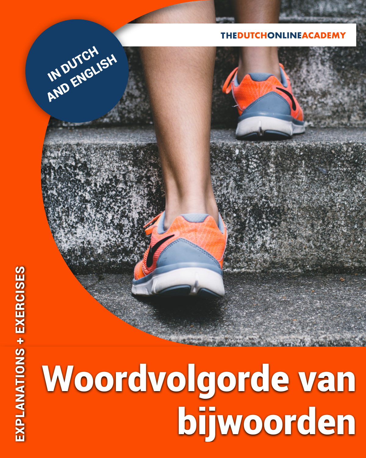 Learn Dutch grammar with books in PDF, from A1 to B2 · #TDOA