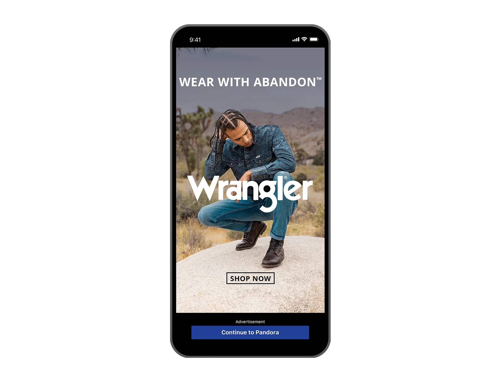 Enhance the audio experience with display ads