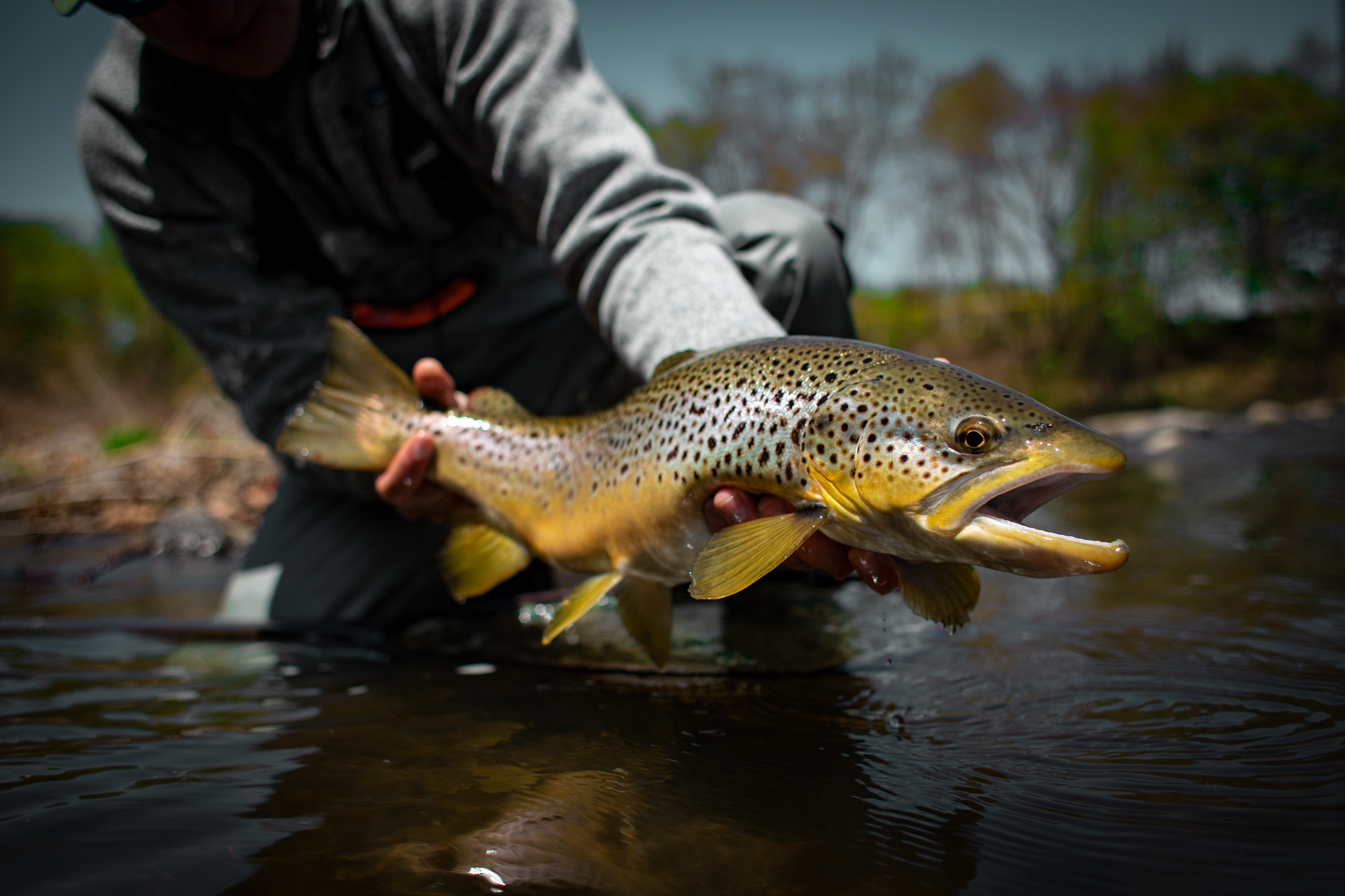 How to Catch Trout with Streamers | Field & Stream