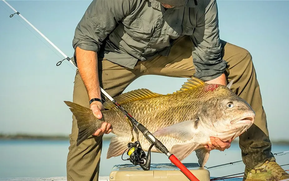 Best Inshore Spinning Rods of 2024 | Field & Stream Best Inshore Spinning Rods of 2024 | Field & Stream