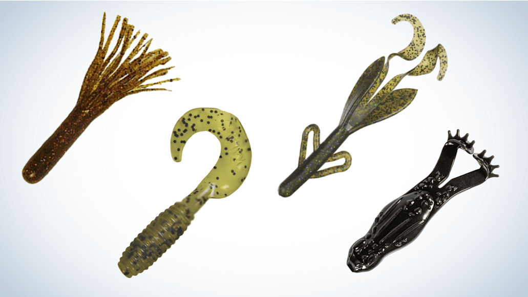 Best Soft Plastic Baits For Bass Of 2023 Field And Stream