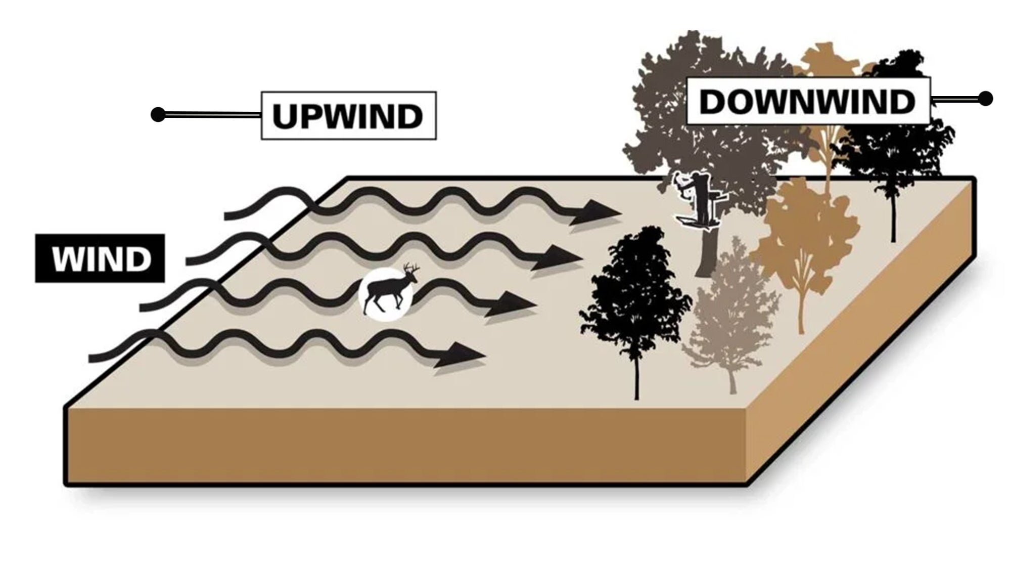 Downwind Vs Upwind Field And Stream