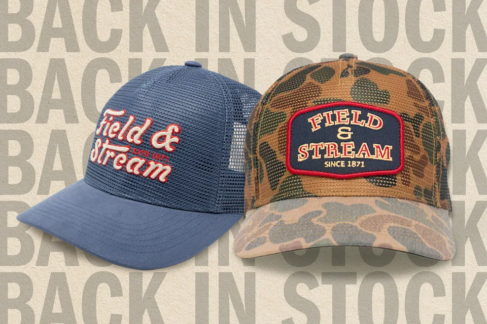 Field & Stream: How to Hunt, Fish, Camp, and Survive