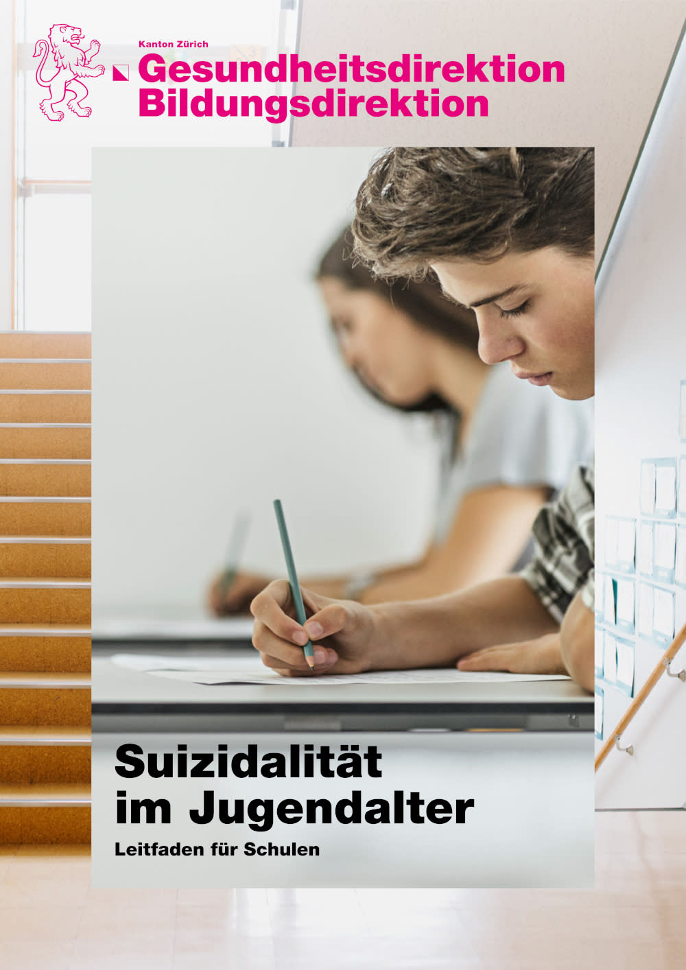 Suizidalität im Jugendalter | migesplus.ch