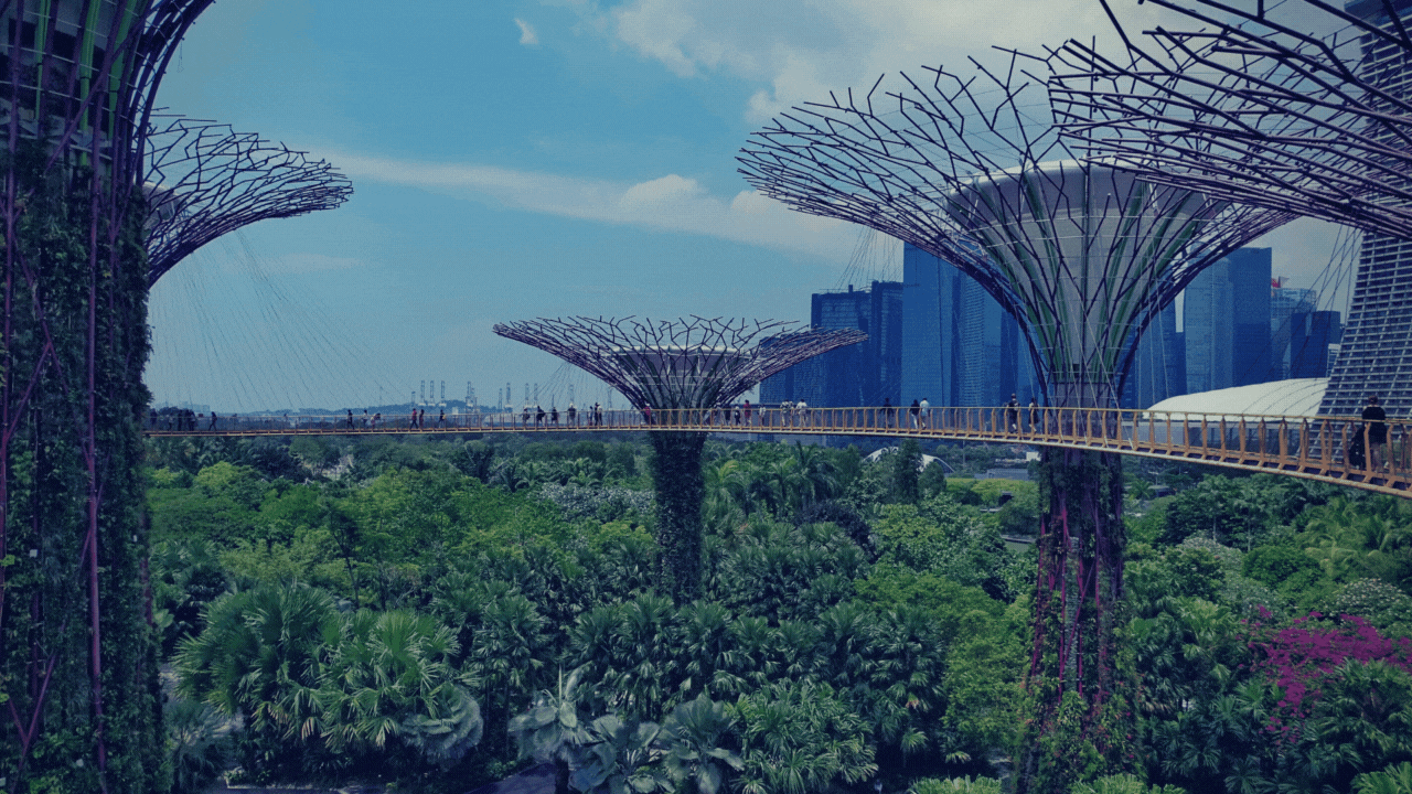 Urban Rewilding: How These 5 Cities Brought Nature Back to the City