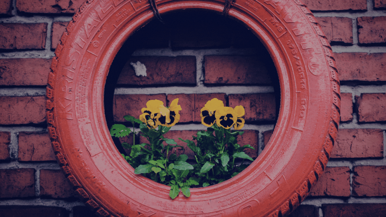 From Trash to Treasure: 4 Facades From Recycled Materials