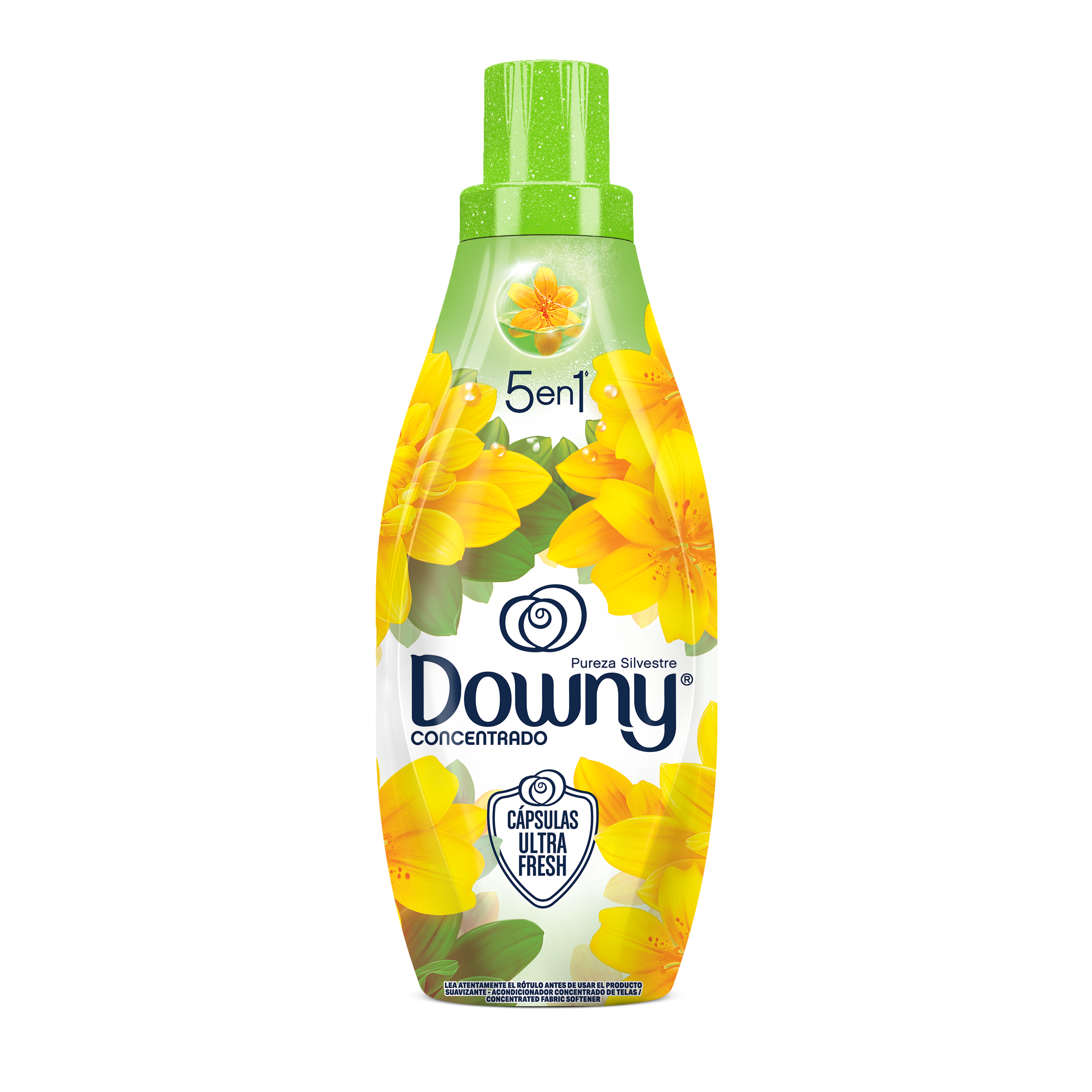 Downy Mexico