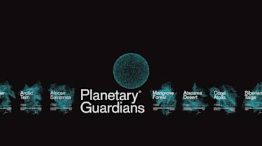 Living visual identity - AKQA