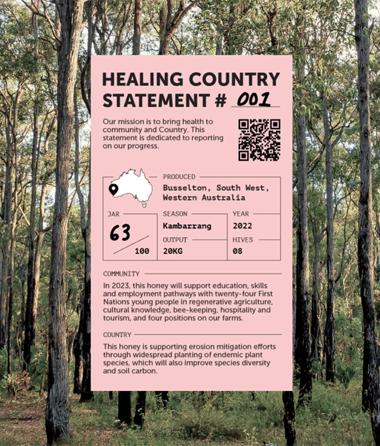 This Honey Heals Country - AKQA