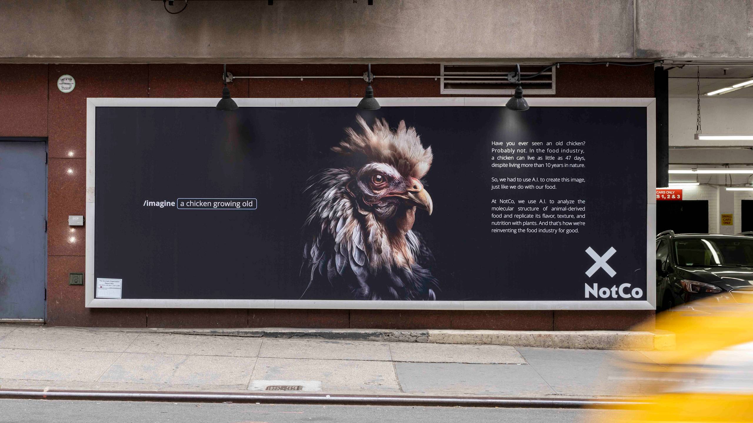 Natural life expectancy - AKQA