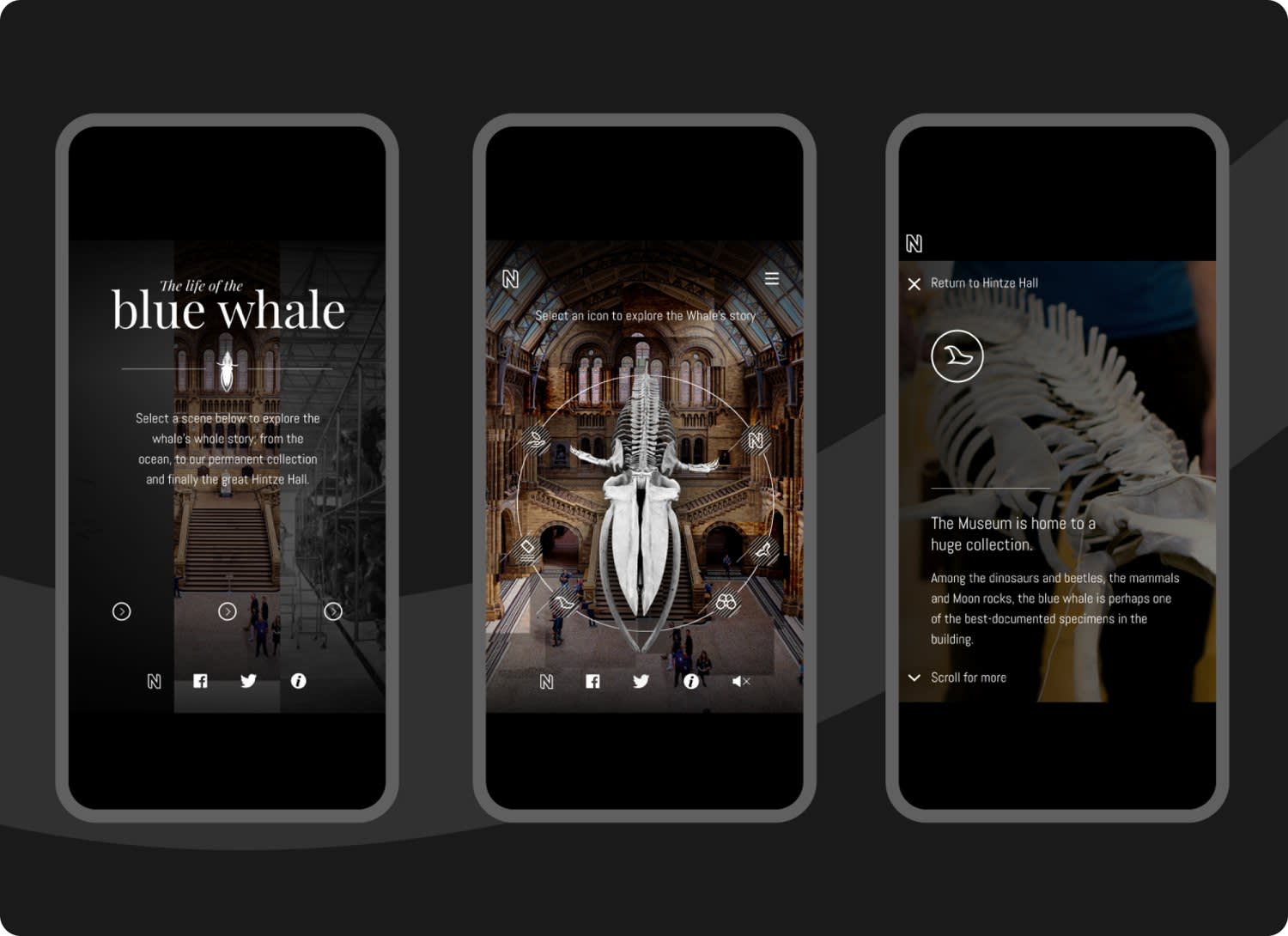 Natural History Museum: The life of the blue whale - AKQA Leap - AKQA