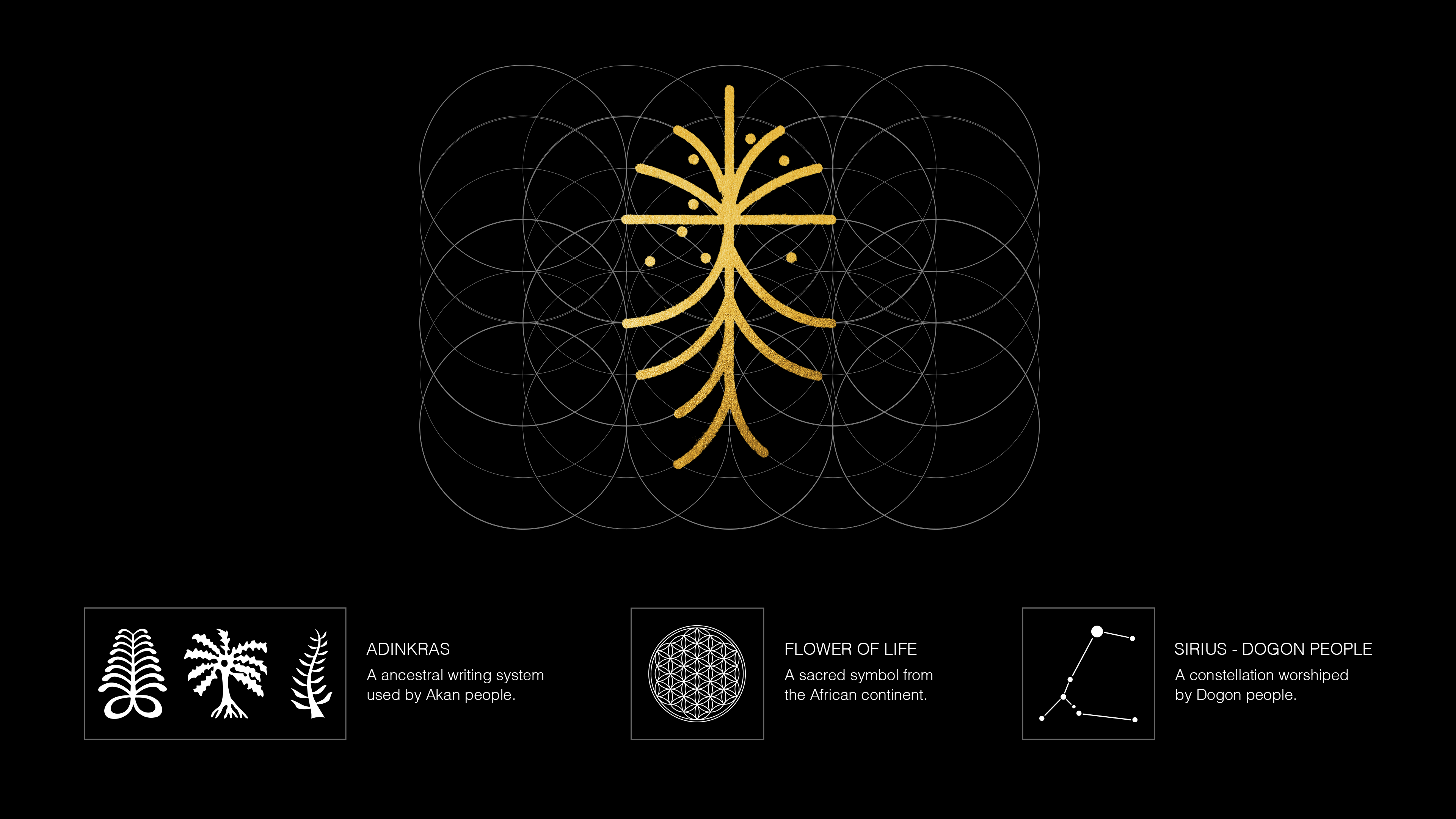 The Tree of Wealth - AKQA