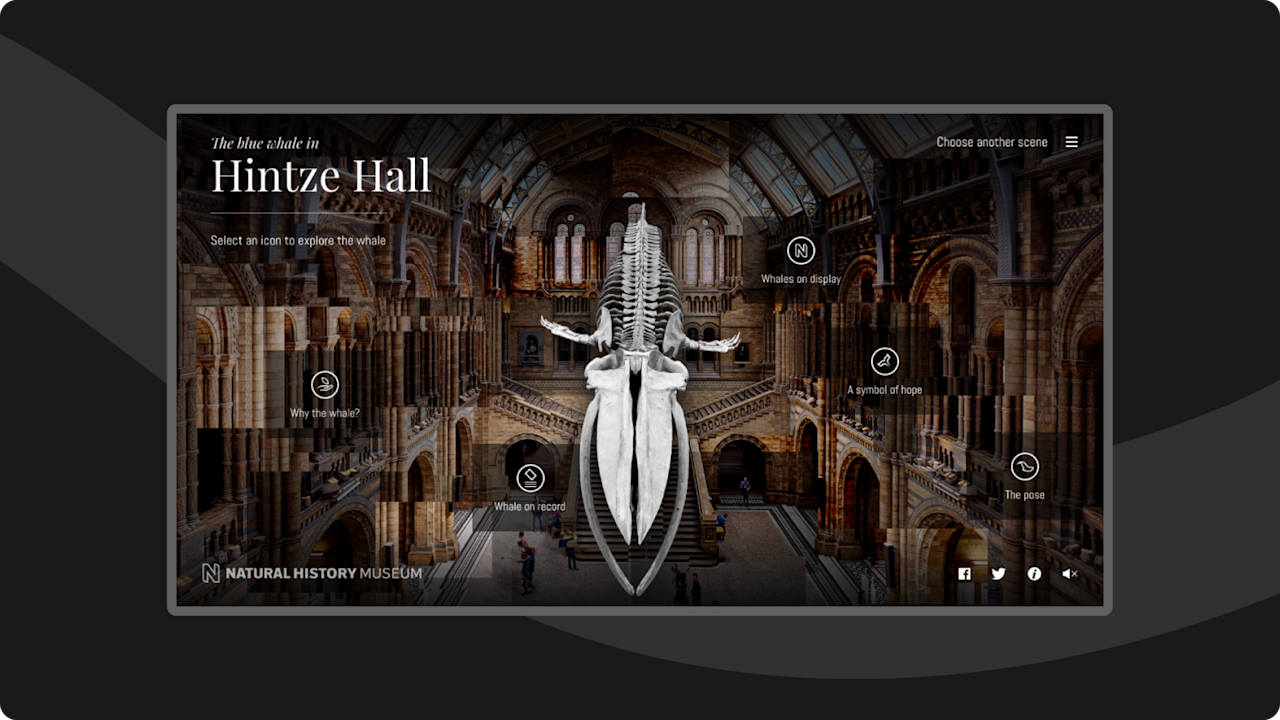 Natural History Museum: The life of the blue whale - AKQA Leap - AKQA