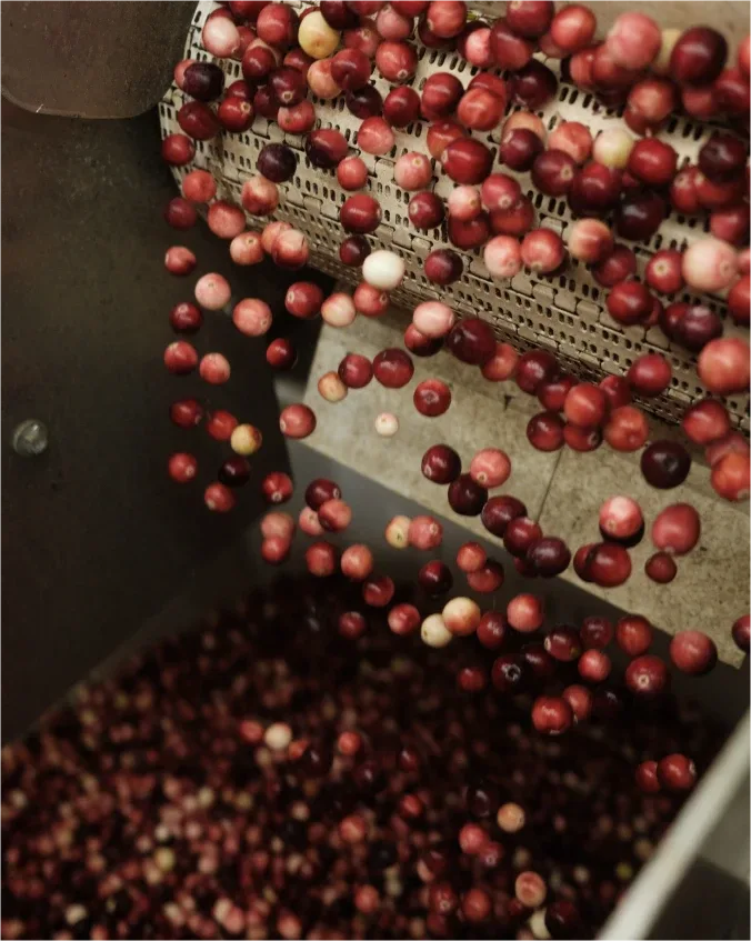 The Harvest | Our Farmers