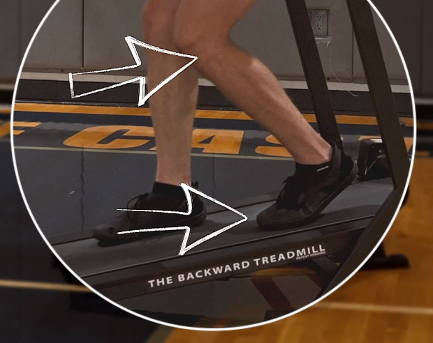 The Anatomy of Backward Walking | ATG Exercise